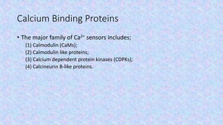 Calmodulin | PPTX