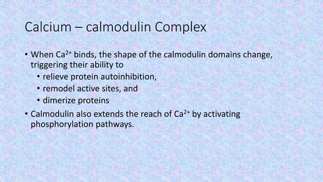 Calmodulin | PPTX