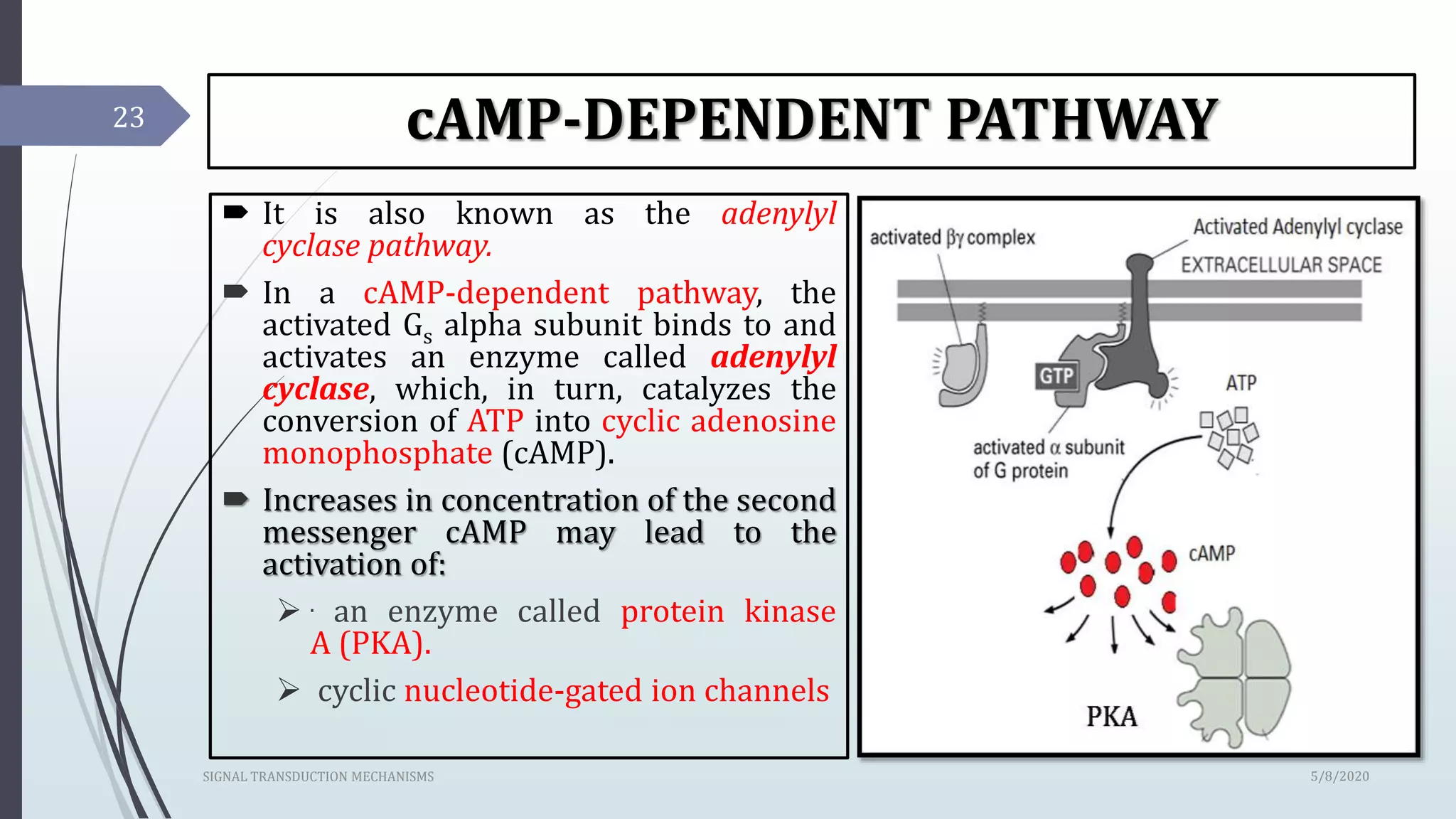 Signal transduction in plant defense responses | PPTX