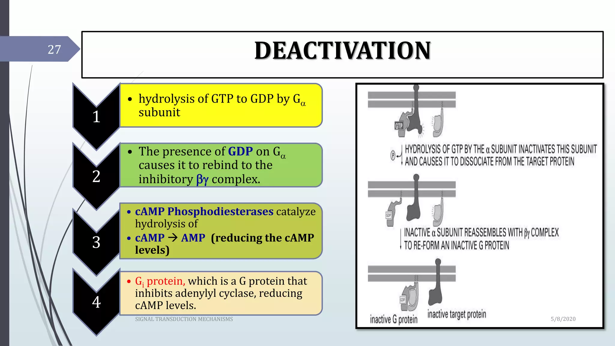Signal transduction in plant defense responses | PPTX