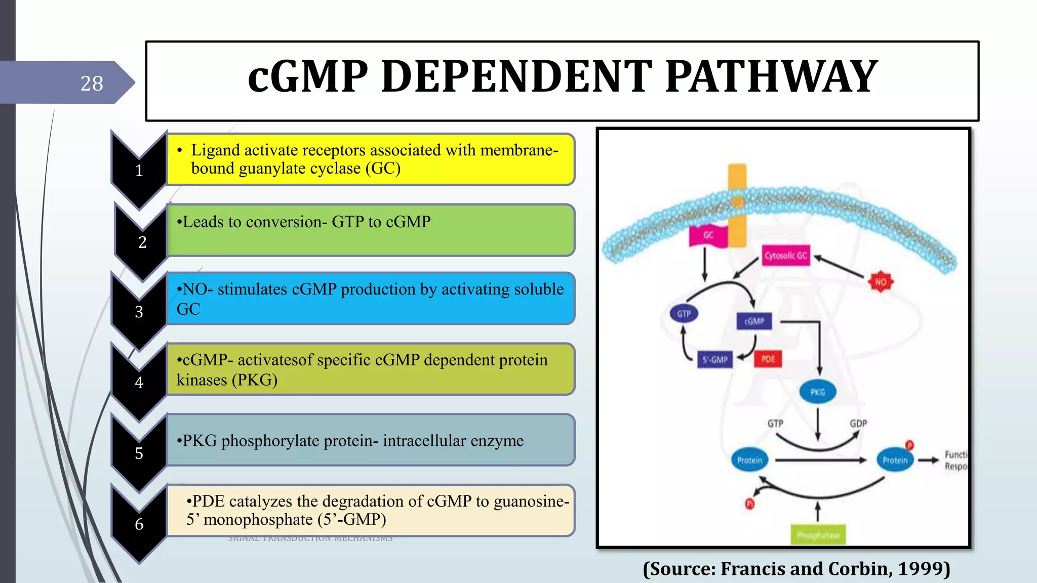 Signal transduction in plant defense responses | PPTX