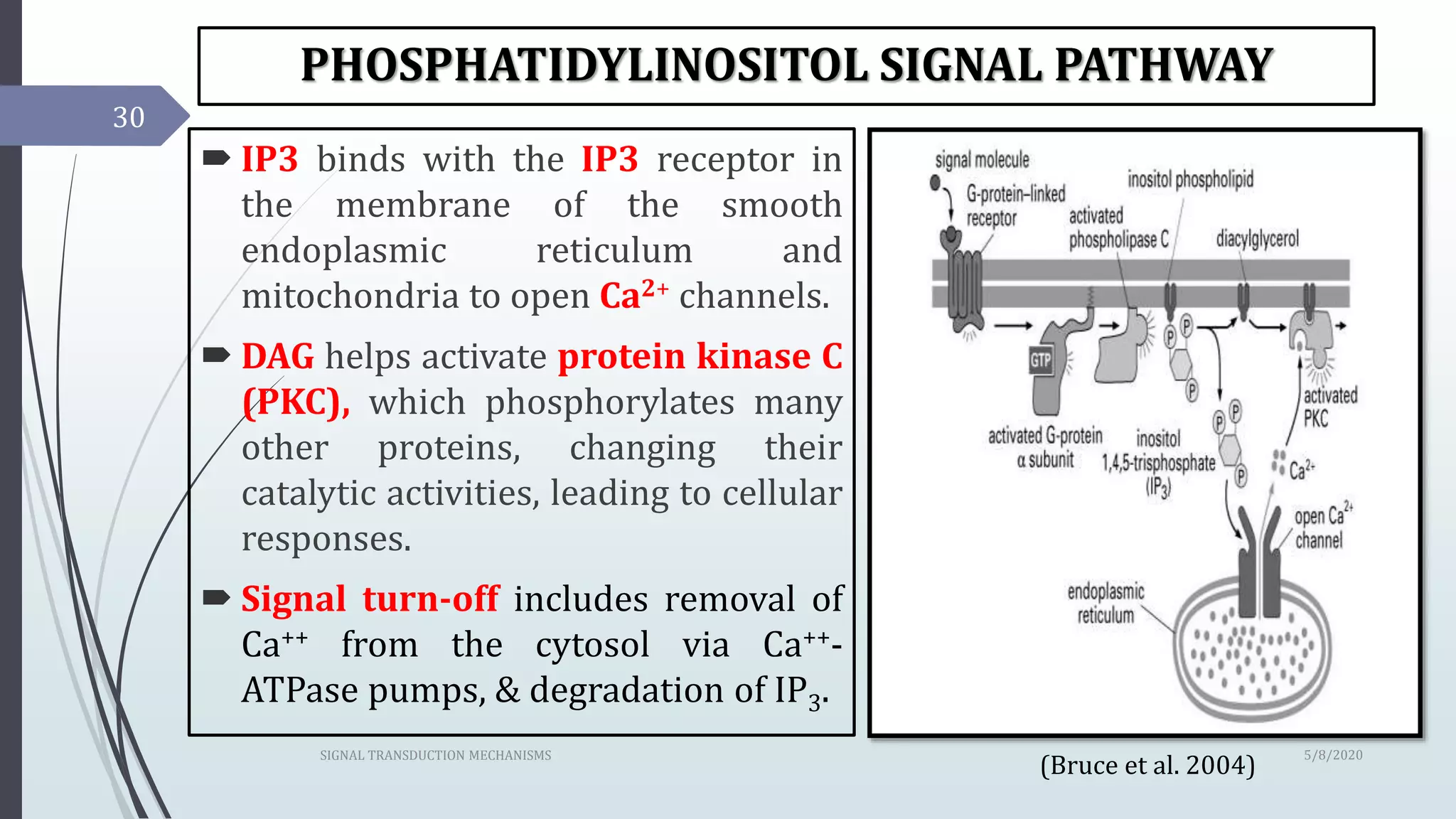 Signal transduction in plant defense responses | PPTX
