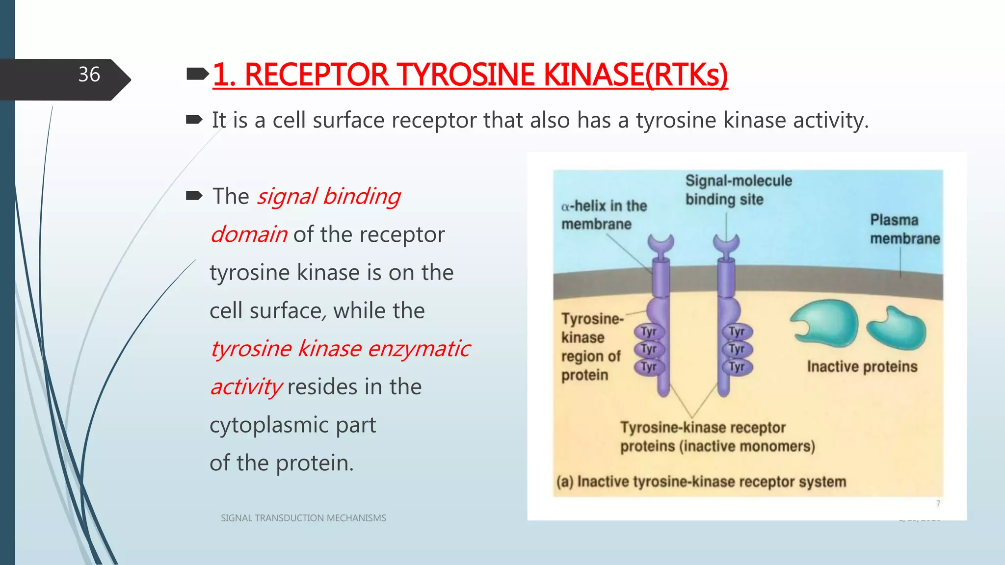 Signal transduction pathways | PPTX