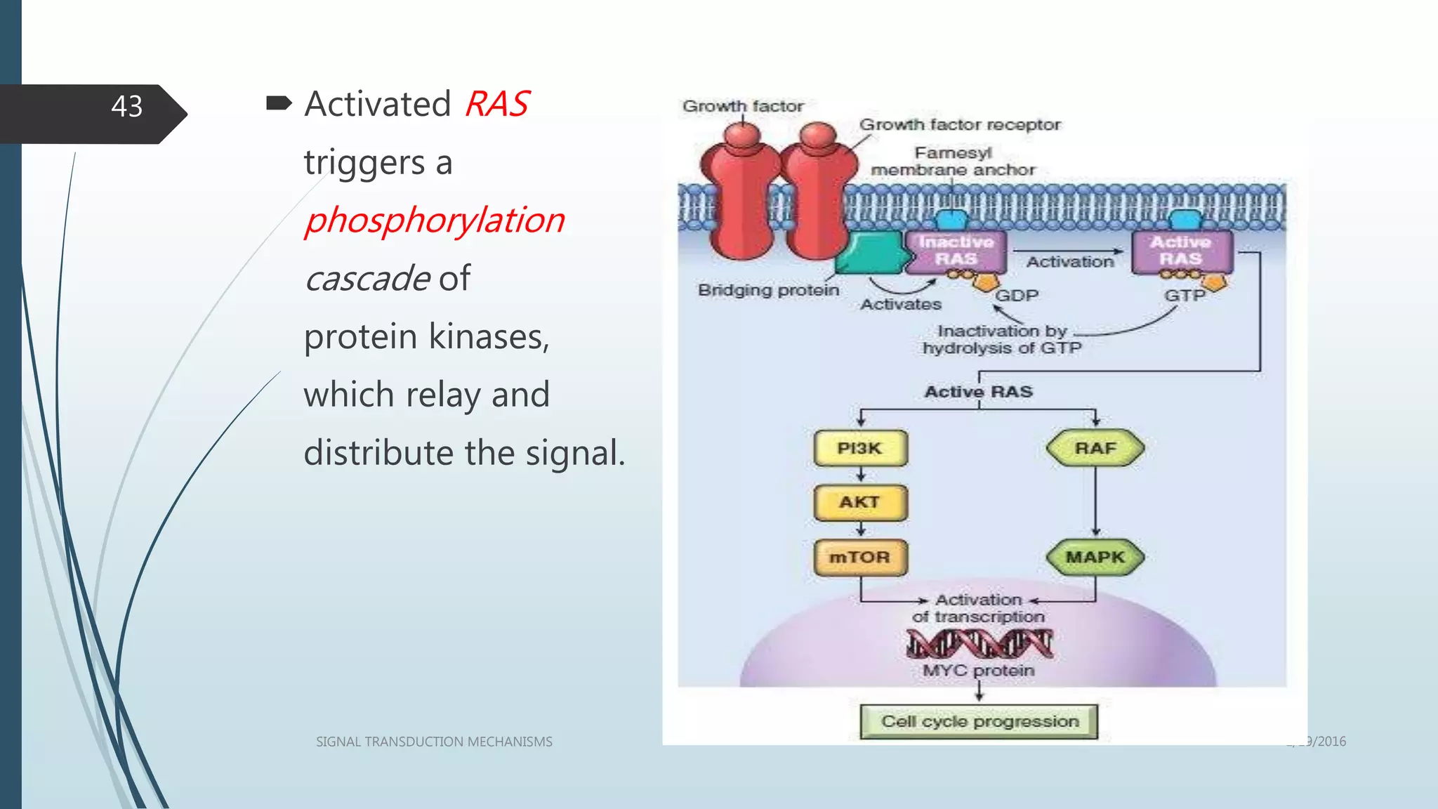 Signal transduction pathways | PPTX