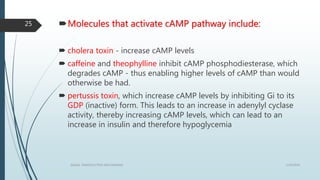 Signal transduction pathways | PPTX
