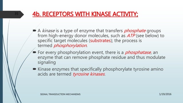 Signal transduction pathways | PPTX