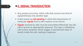 Signal Transduction Pathway Steps