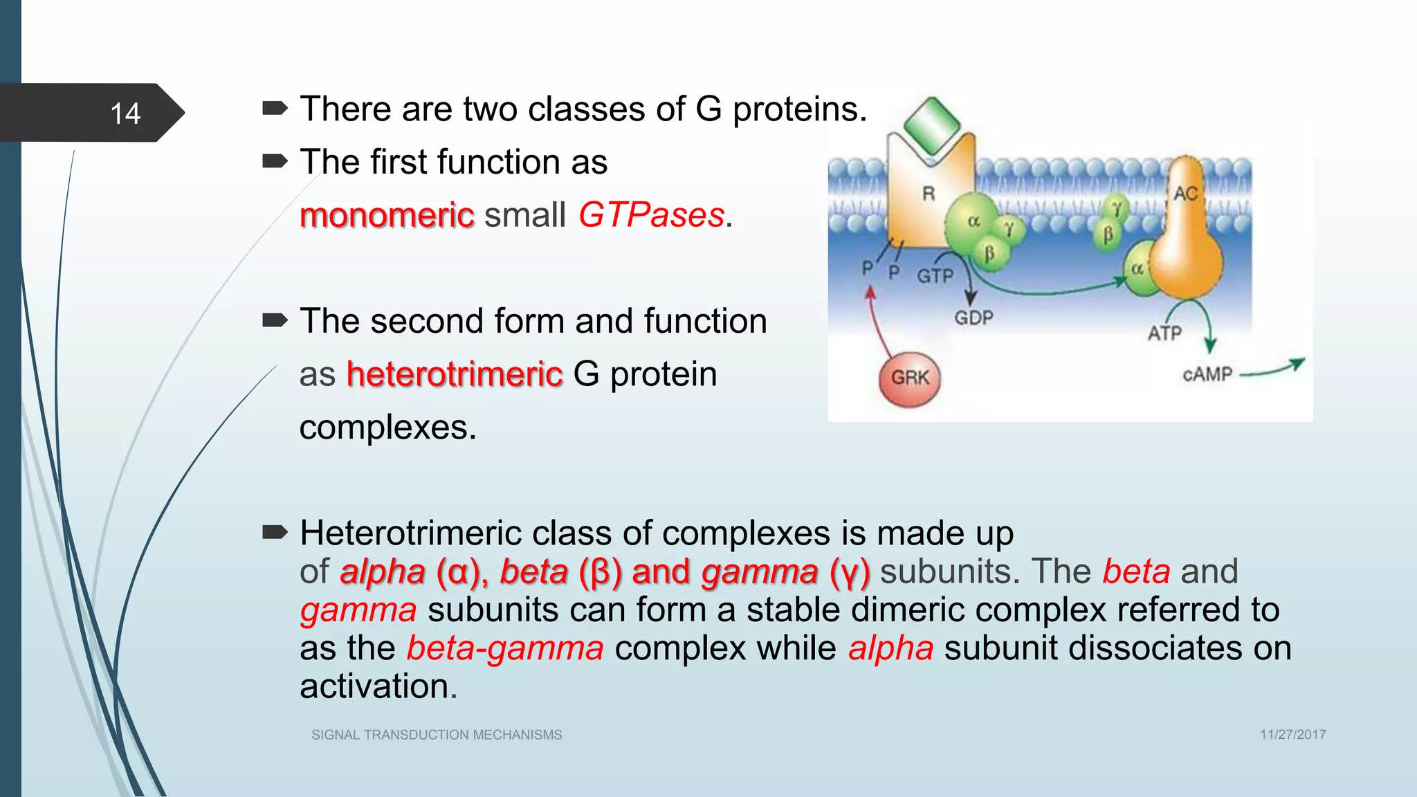 Signal transduction mechanism | PPTX