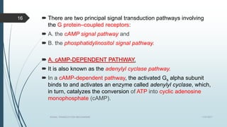 Signal transduction mechanism | PPTX
