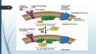 Signal transduction mechanism | PPTX