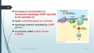 Signal transduction mechanism | PPTX