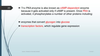 Signal transduction mechanism | PPTX