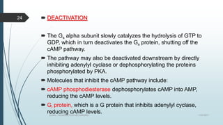 Signal transduction mechanism | PPTX