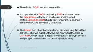Signal transduction mechanism | PPTX