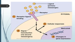 Signal transduction mechanism | PPTX