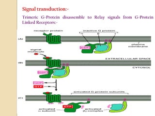 Signal transduction | PDF