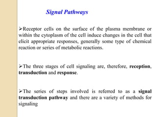 Signal Transduction Pathway Steps