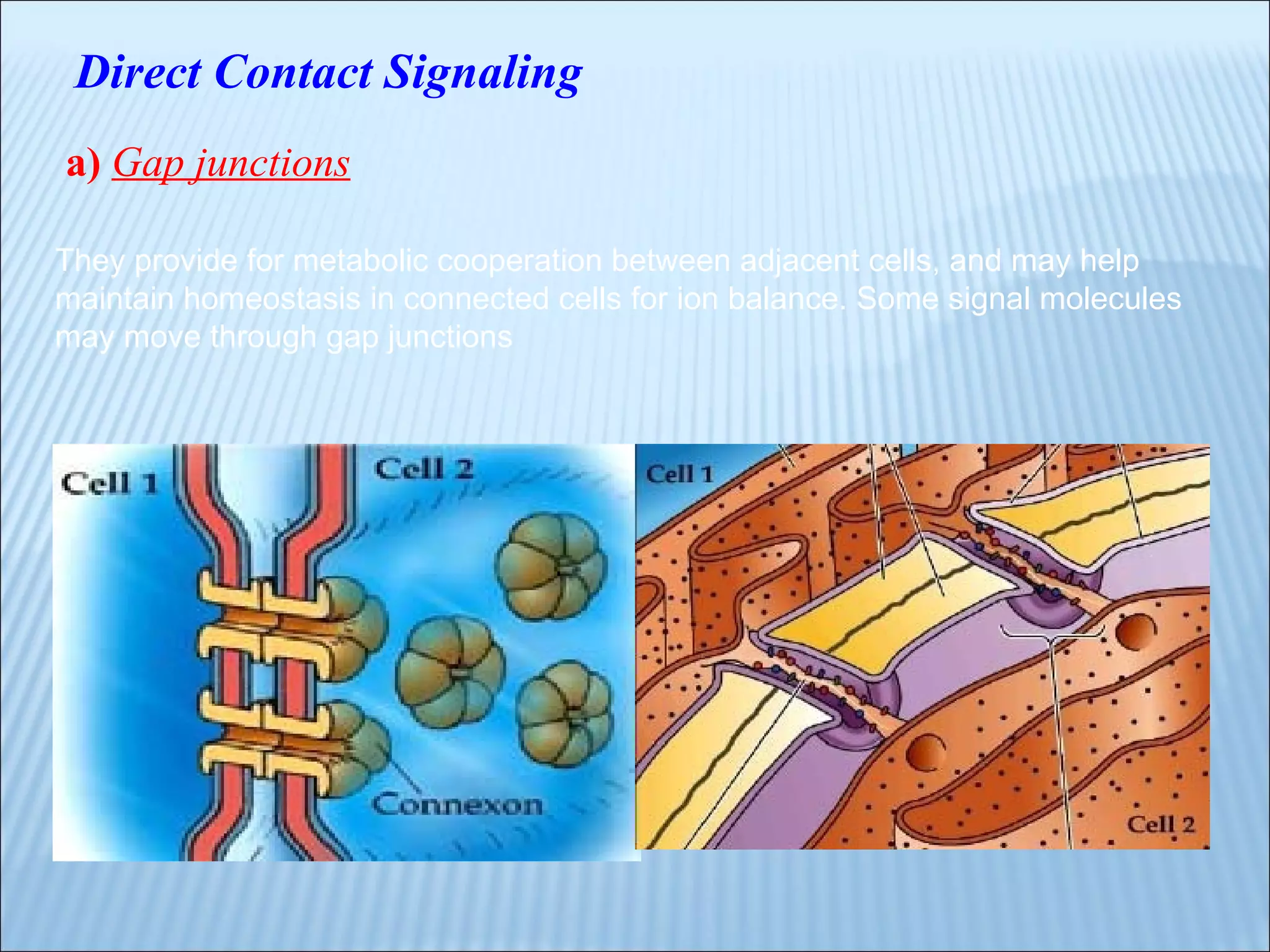 Signal transduction presentation | PPT