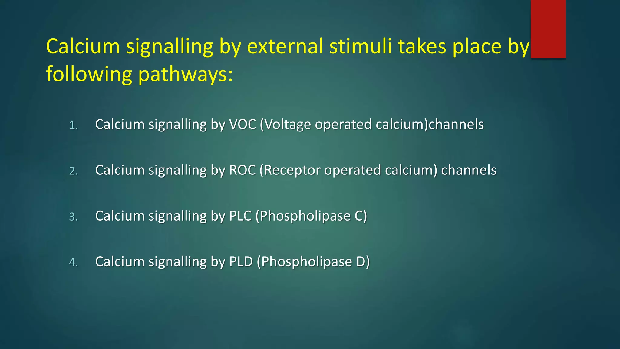 Signal transduction processes connected to the changes in cytosolic ...