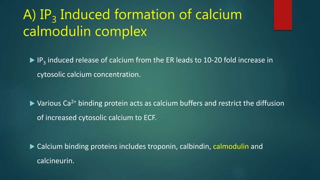 Signal transduction processes connected to the changes in cytosolic ...