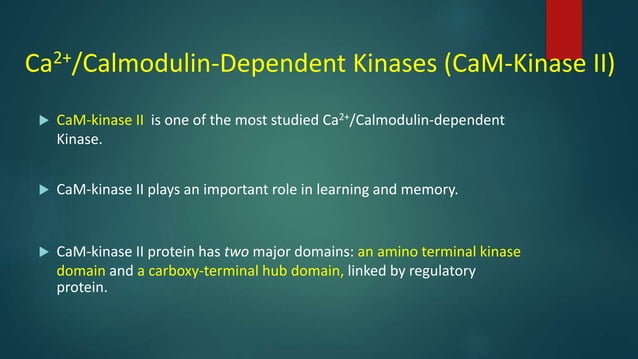 Signal transduction processes connected to the changes in cytosolic ...