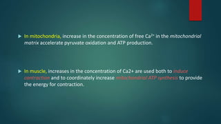 Signal transduction processes connected to the changes in cytosolic ...