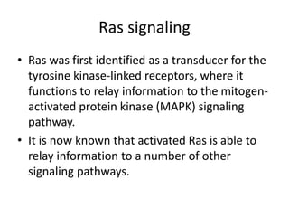 Signal transduction proteins and pathways in oncogenesis | PPTX