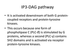 Signal transduction proteins and pathways in oncogenesis | PPTX