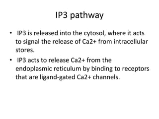 Signal transduction proteins and pathways in oncogenesis | PPTX