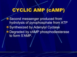 Signal Transduction Revised | PPT