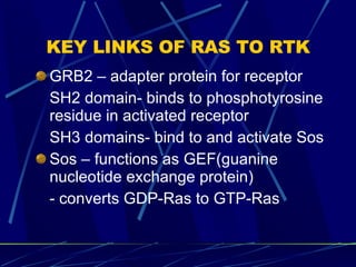 Signal Transduction Revised | PPT