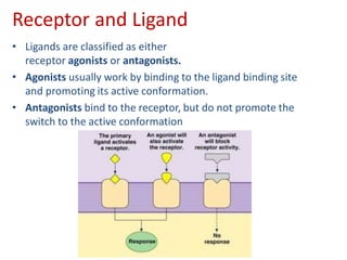 Signal Transduction System BIOCHEMISTRY.pdf