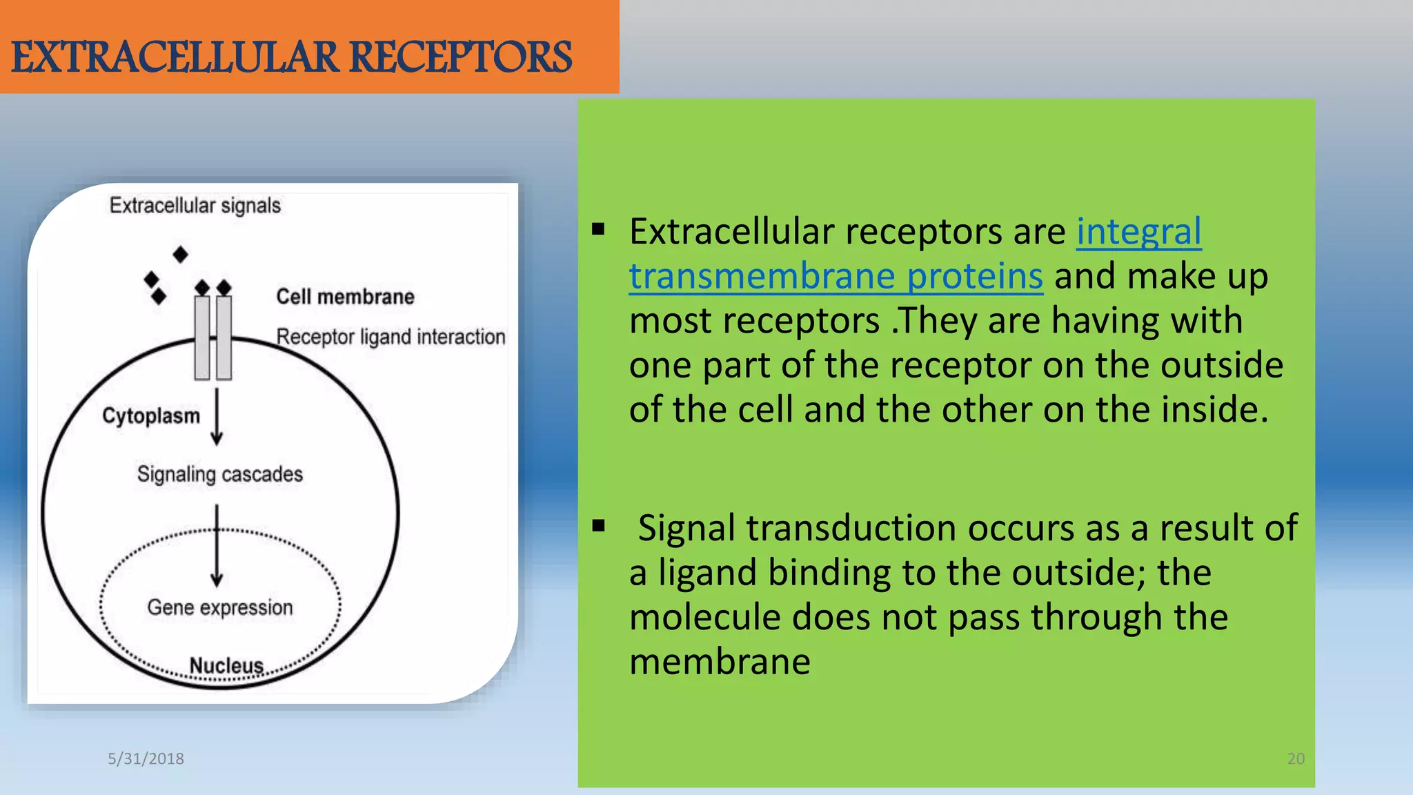 Signal transduction and translocation | PPT