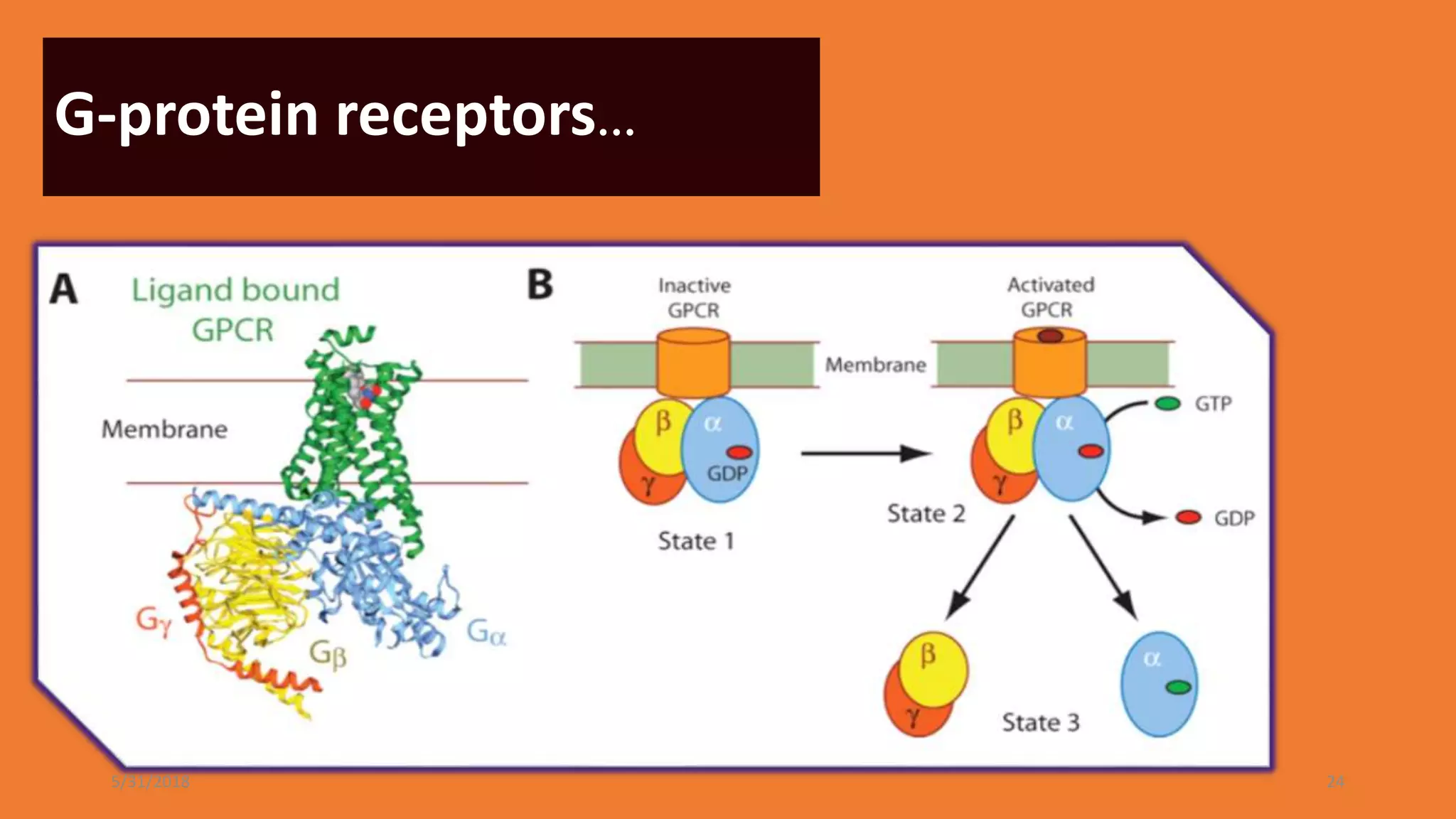 Signal transduction and translocation | PPT