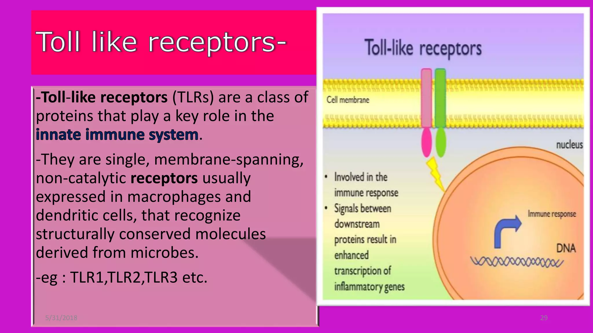 Signal transduction and translocation | PPT