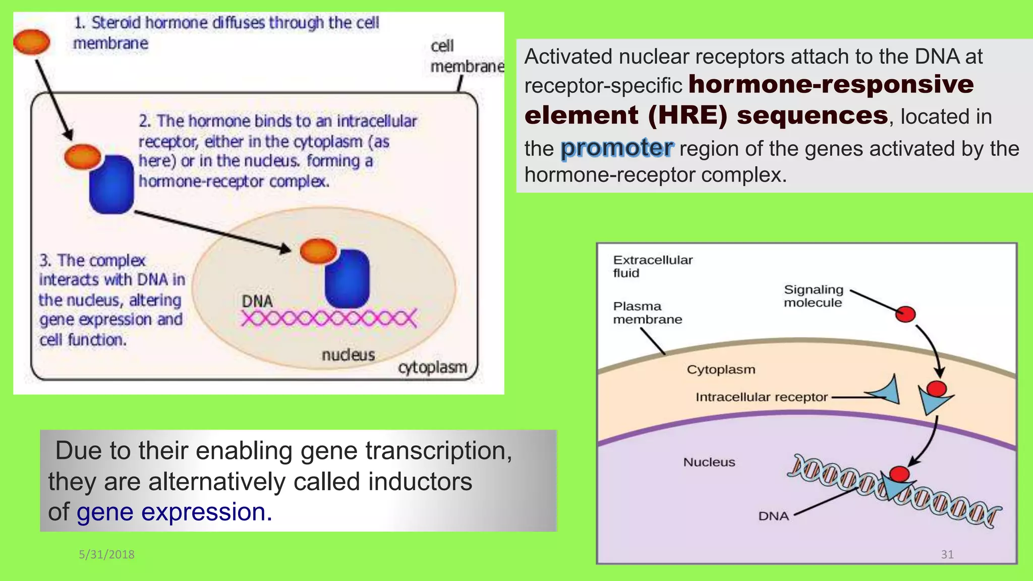 Signal transduction and translocation | PPT