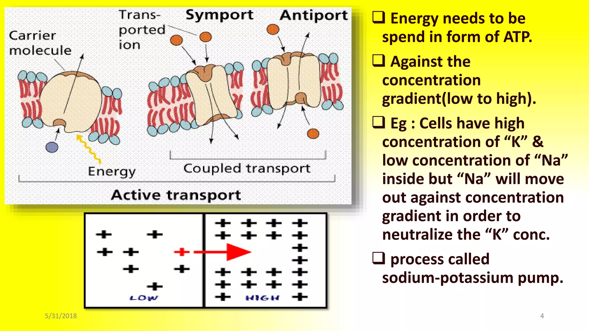 Signal transduction and translocation | PPT