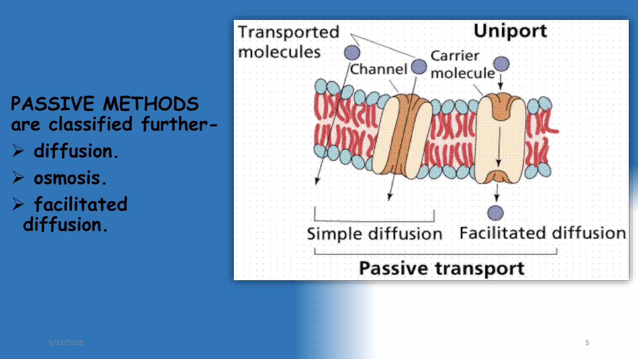Signal transduction and translocation | PPT