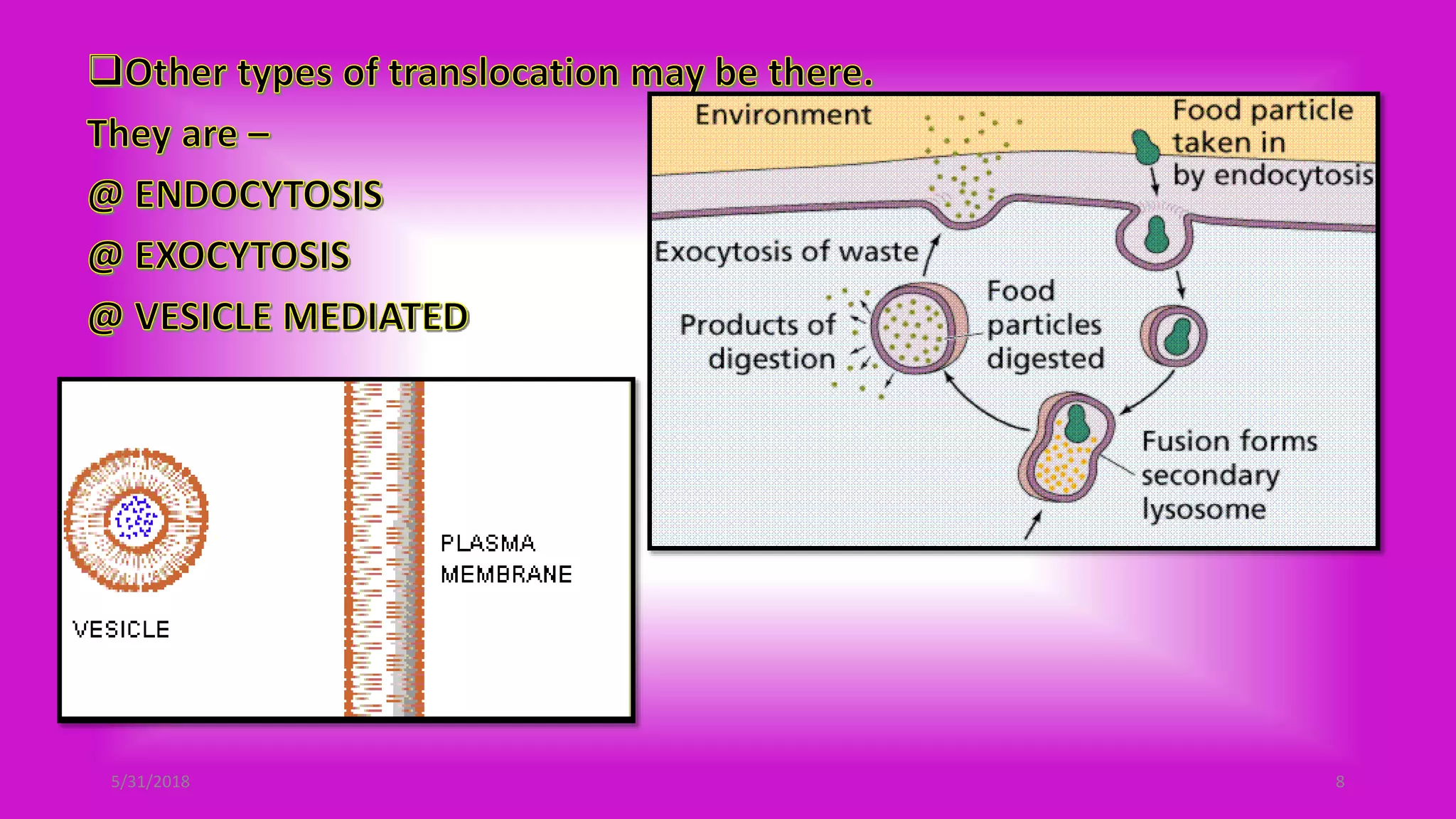 Signal transduction and translocation | PPT