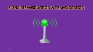Signal transduction and translocation | PPT