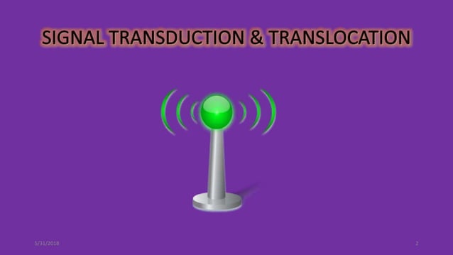 Signal transduction and translocation | PPT