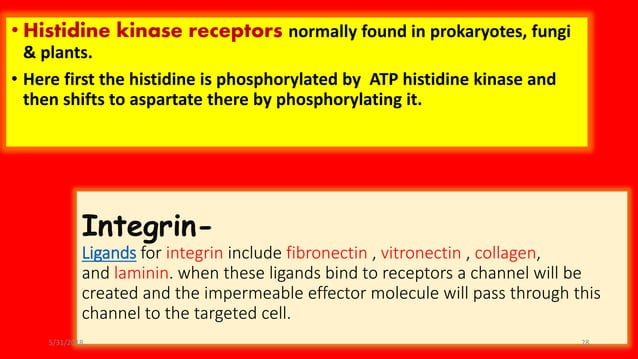 Signal transduction and translocation | PPT