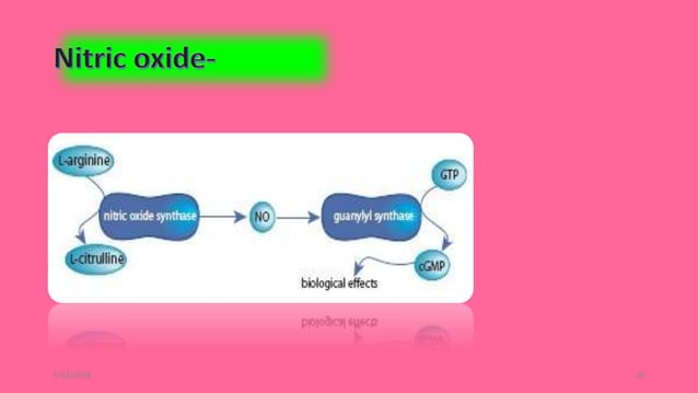 Signal transduction and translocation | PPT