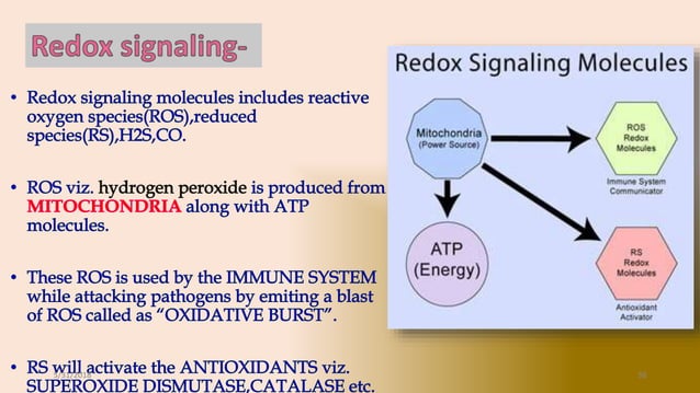 Signal transduction and translocation | PPT