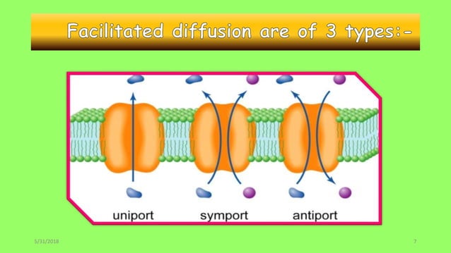 Signal transduction and translocation | PPT