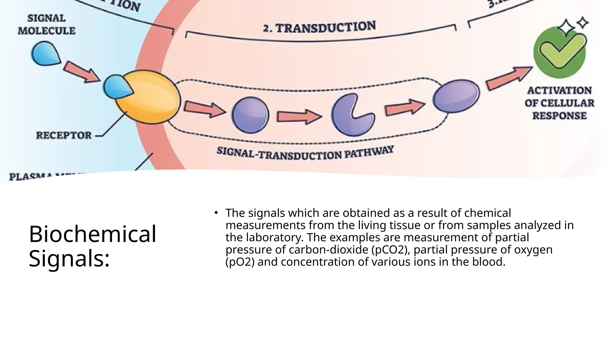 Signal Types and Their Classifications.pptx