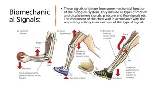 Signal Types and Their Classifications.pptx