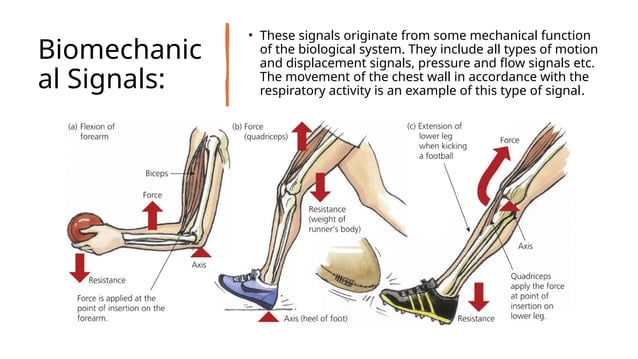 Signal Types and Their Classifications.pptx