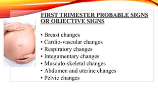 Breasts During Pregnancy First Trimester