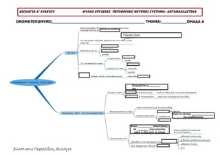 Φύλλο εργασίας ΠΝΣ: νευρικές οδοί- αντανακλαστικά- ΒΙΟΛΟΓΊΑ Α ΛΥΚΕΙΟΥ | PDF